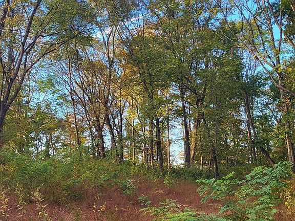 3087 NW Turkeytown Rd, Hilham, TN 38568 | MLS #223903 | Zillow