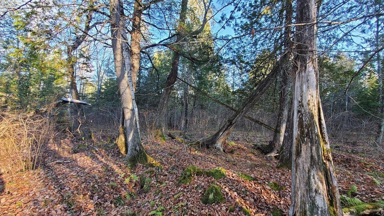 Nelson Landing Rd, Three Lakes, WI 54562 | Zillow