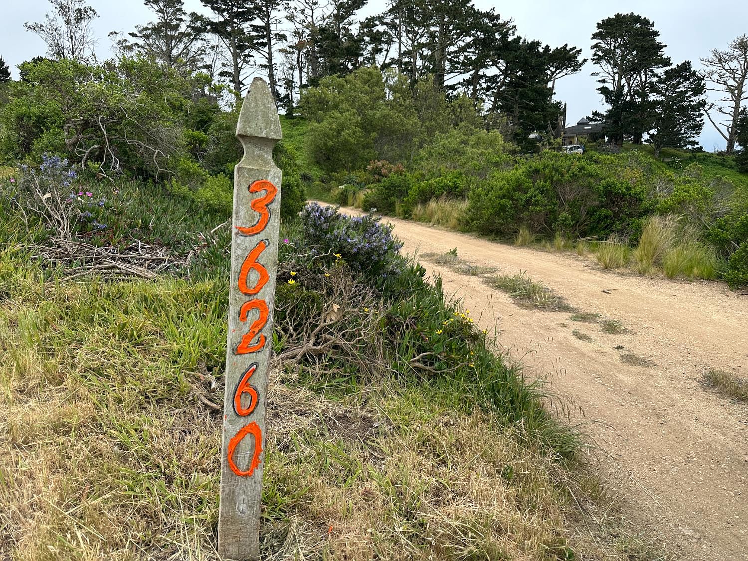 36260 Weston Ridge Rd, Carmel, CA 93923 | MLS #225051254 | Zillow