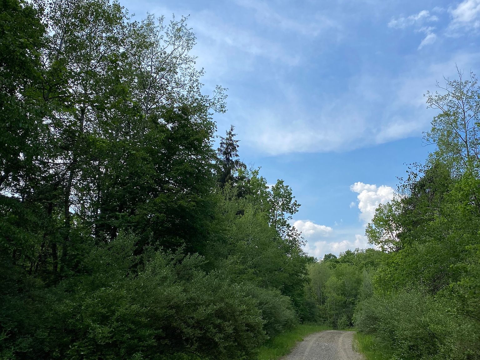 Beaver Valley Rd LOT WP001, Fallentimber, PA 16639 | Zillow