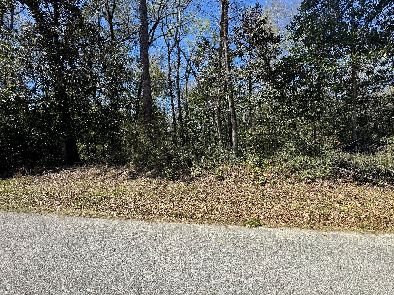 6 Dowling Ave, Walterboro, SC 29488 | MLS #25009341 | Zillow