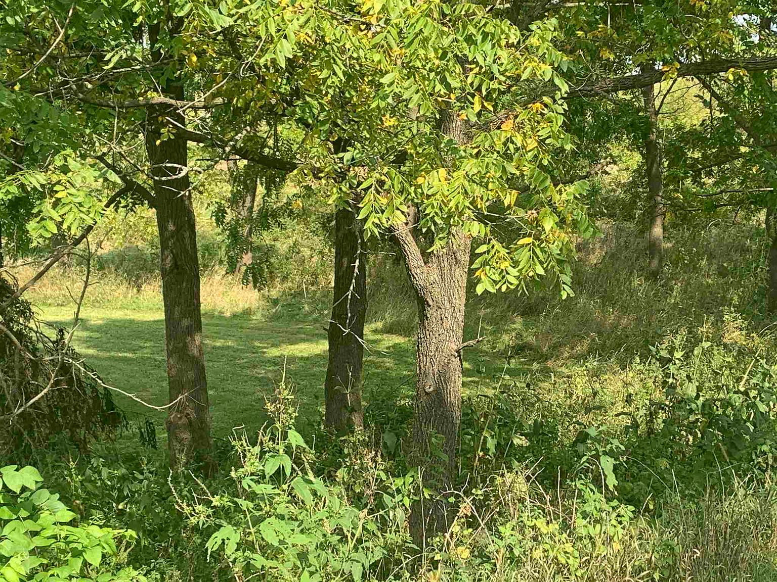 160th Ave, Calamus, IA 52729 | Zillow