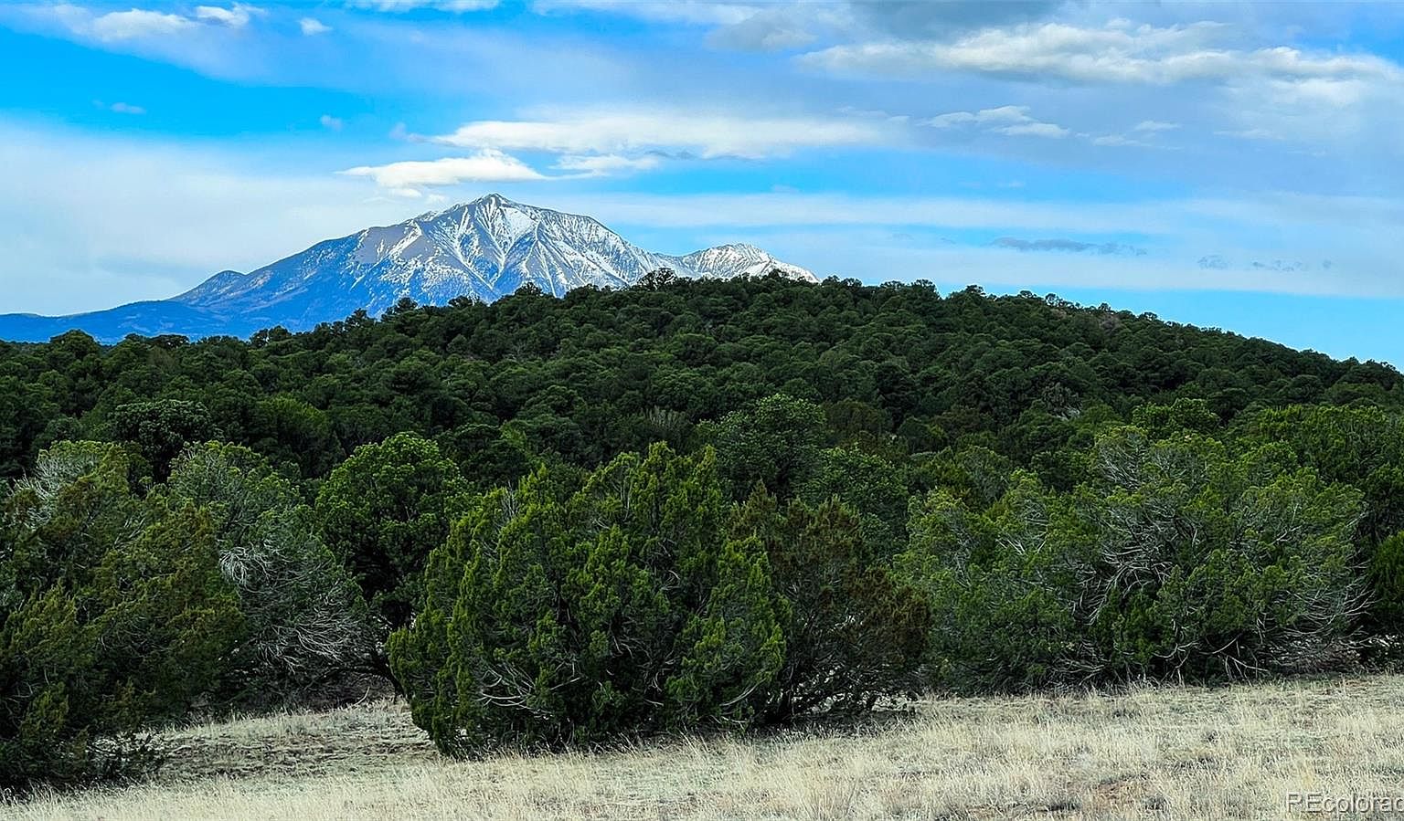 203381 For 97 Split Fr Colo Mount, Walsenburg, CO 81089 | MLS #1866888 ...