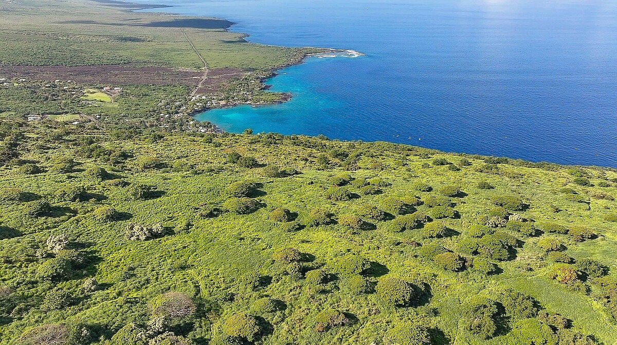 82-6159 Napoopoo Rd, Captain Cook, HI 96704 | MLS #670443 | Zillow