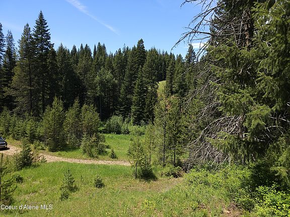 Nna2lots Ryan Loop, Saint Maries, ID 83861 | MLS #24-6865 | Zillow