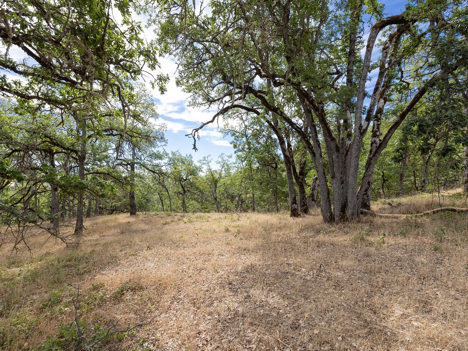 Lyle Snowden Rd, Lyle, WA 98635 | MLS #24479874 | Zillow