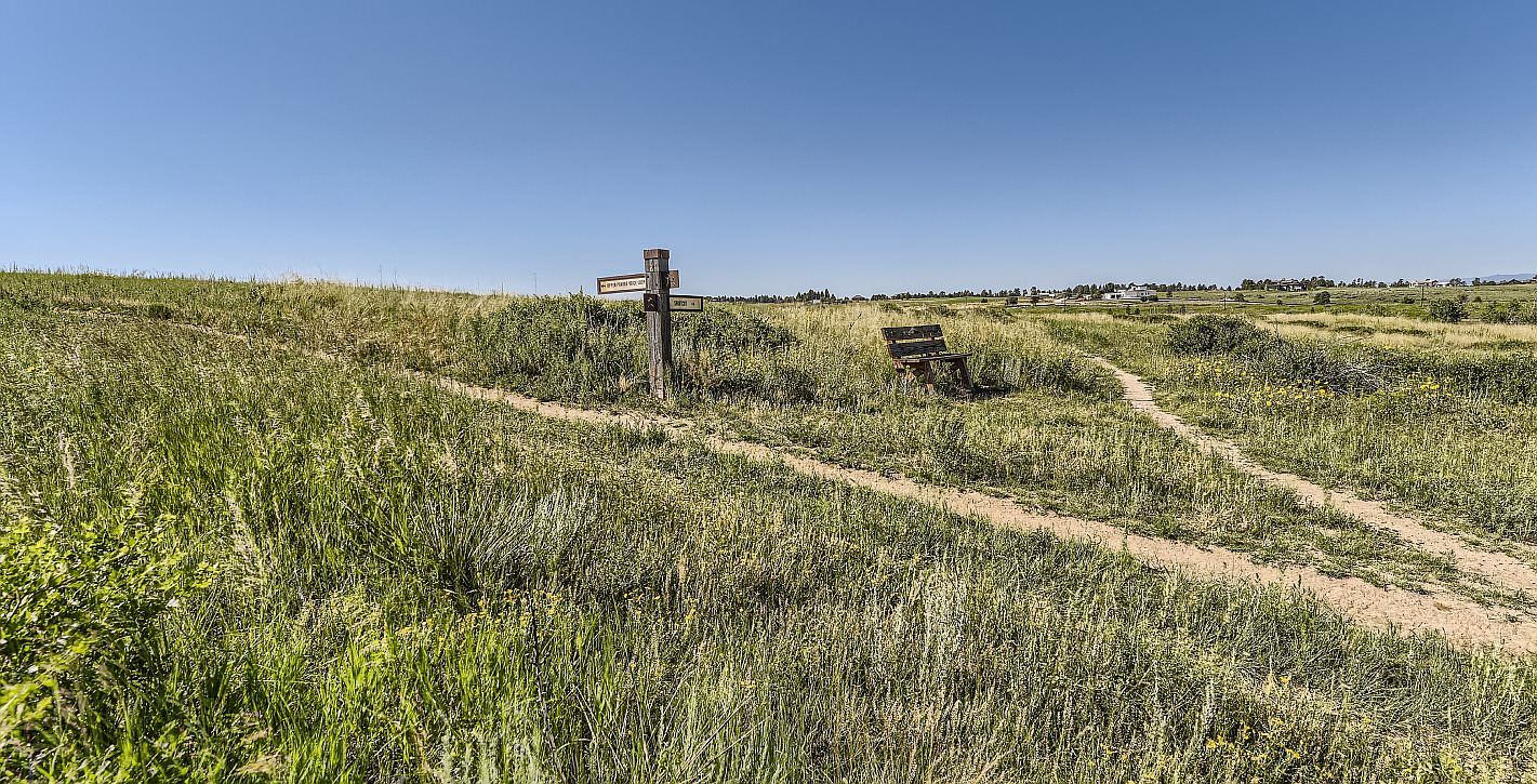 Elbert Plan, Newlin Crossing : The Pioneer Collection, Parker, CO 80134 ...