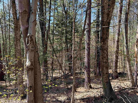 Lot 4 North Street #43, East Dover, VT 05341 | Zillow