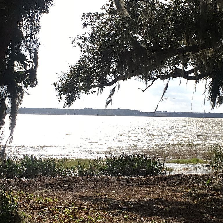 Lake Reedy Blvd N, Frostproof, FL 33843 | Zillow