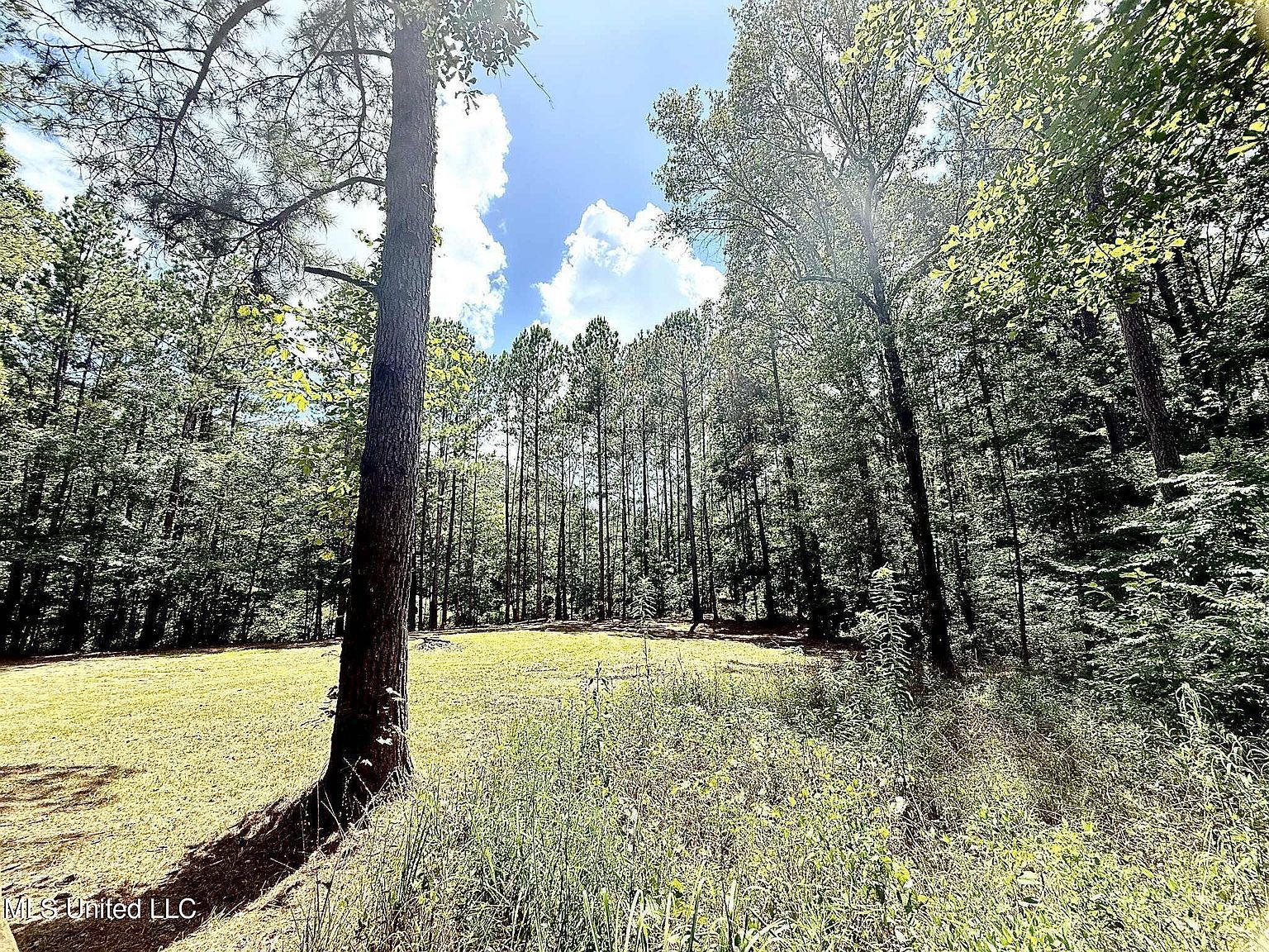 Old Jackson Rd, Terry, MS 39170 | Zillow