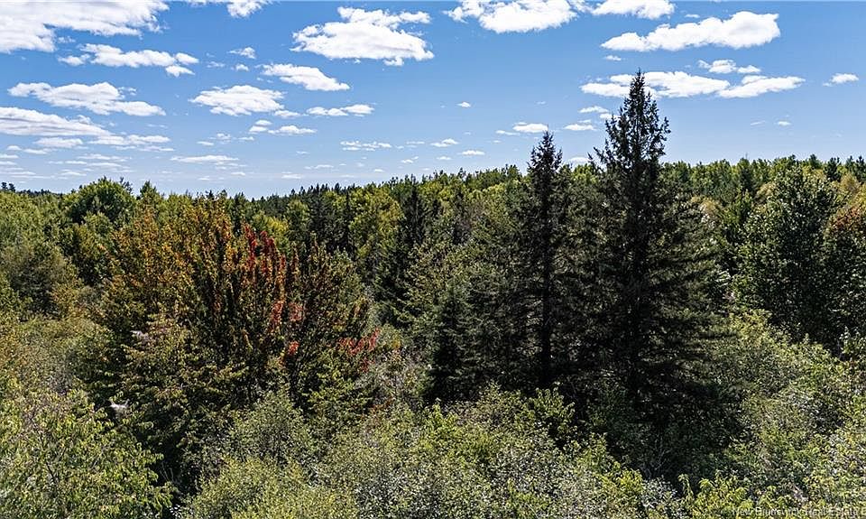 9 De La Traverse Lot 79, Saint Paul, NB E4T 3H4 | MLS #NB133864 | Zillow