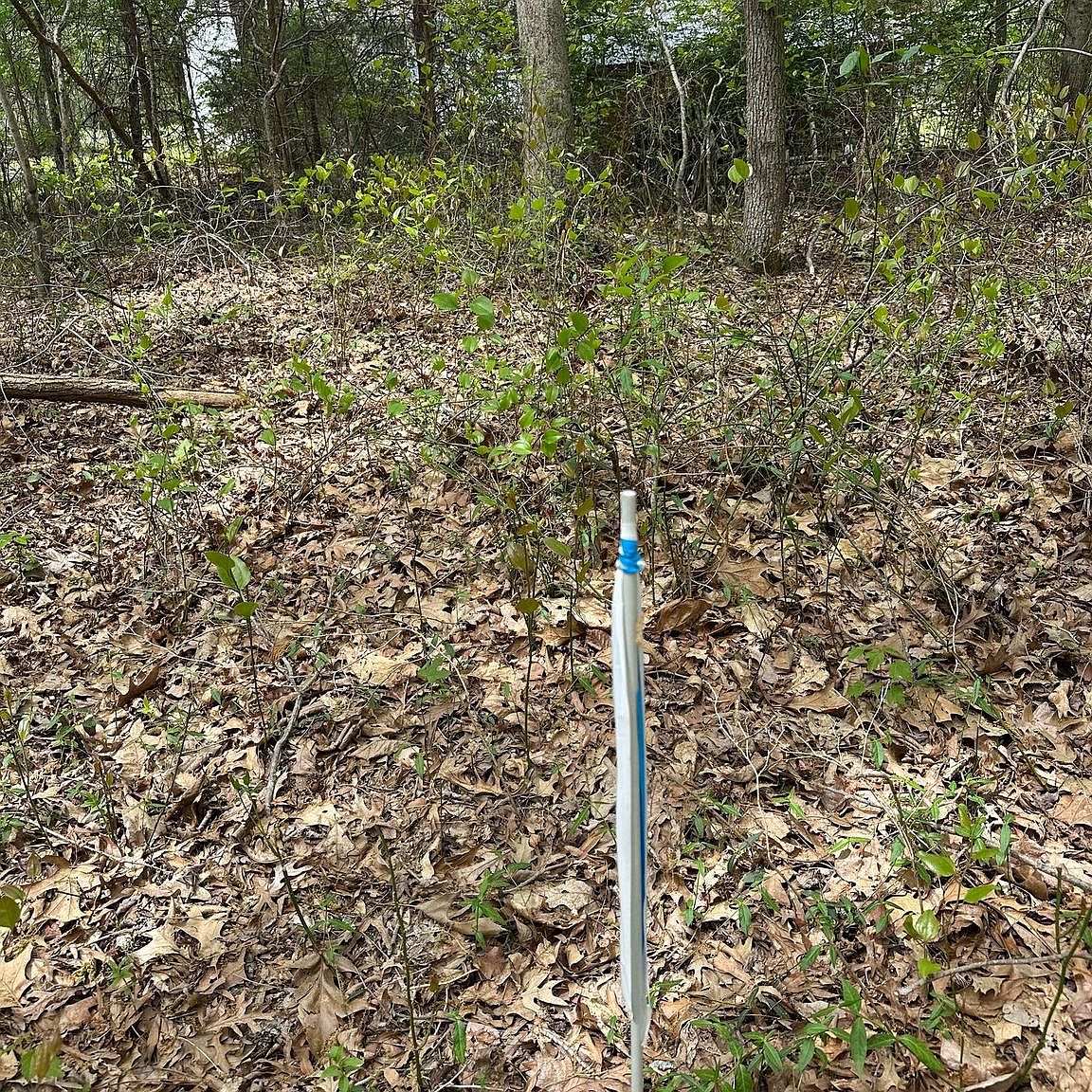 PARCEL 91 Cool Spring Rd, Marydel, MD 21649 | MLS #MDCM2005664 | Zillow