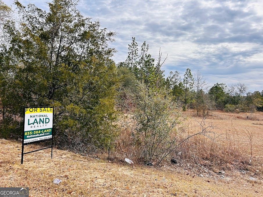 0 Georgia Rd, Butler, GA 31006 | Zillow