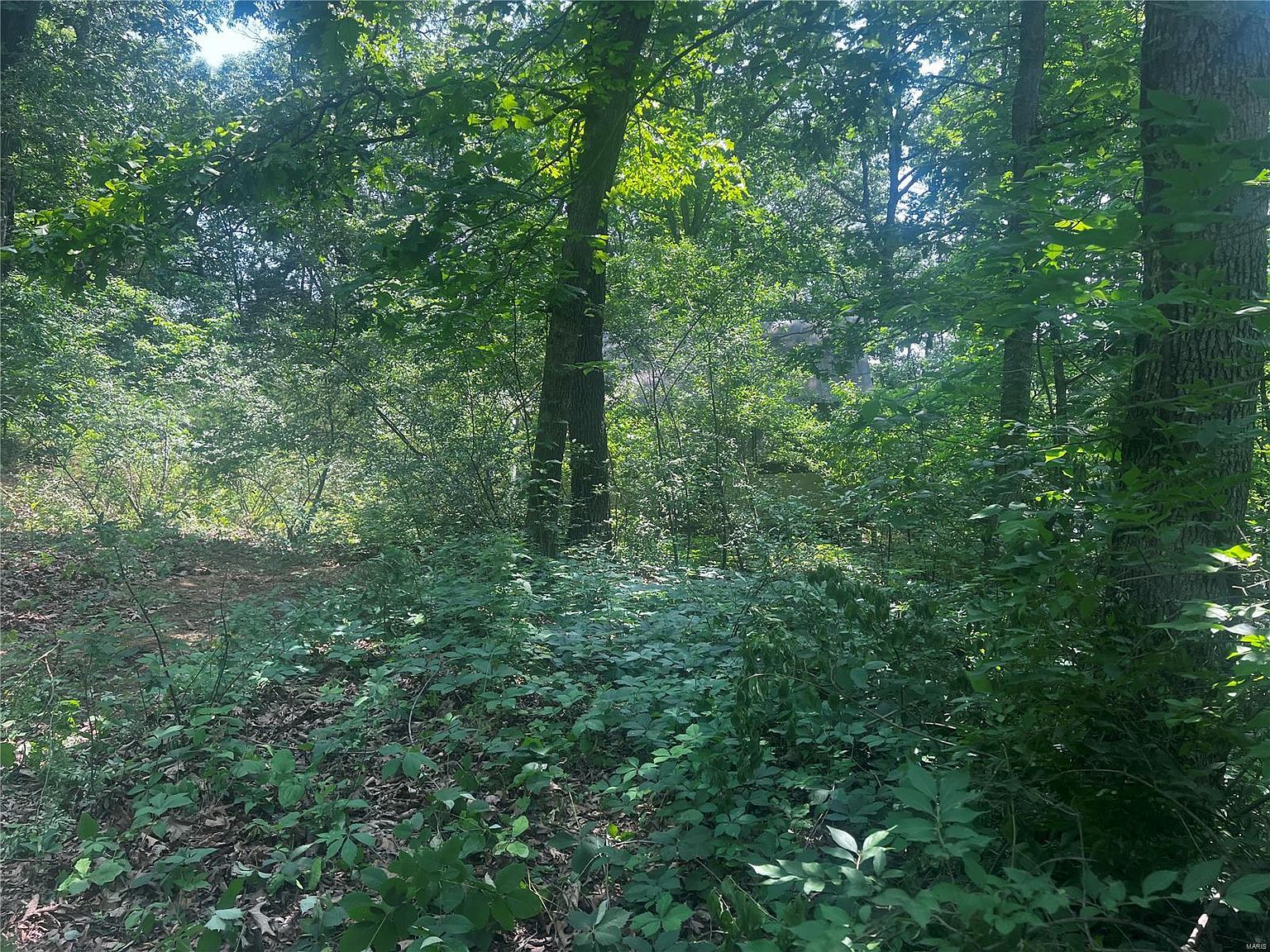 6219 Osage Dr, French Village, MO 63036 | Zillow