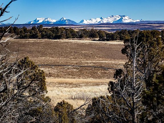 19234 Road 16 #19444-16.5, Yellow Jacket, CO 81335 | MLS #809880 | Zillow