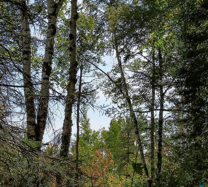Hoaglund Dr, Tofte, MN 55615 | Zillow