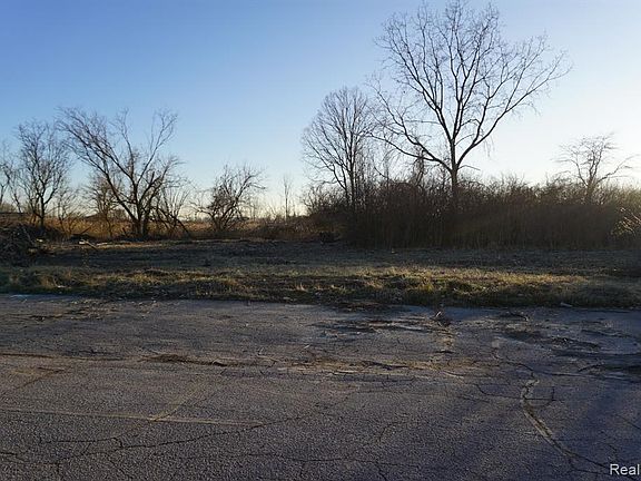 28855 W Jefferson Ave, Rockwood, MI 48173 | MLS #20240007249 | Zillow