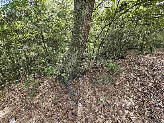 123 Sunrise Ln LOT 49, Kill Devil Hills, NC 27948 | MLS #126899 | Zillow