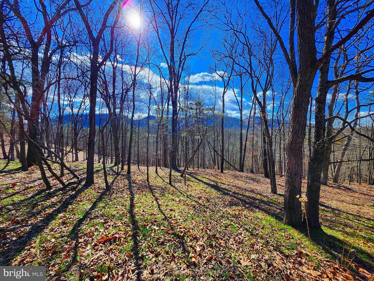 LOT 24 Old Mountain Run Trl, Purgitsville, WV 26852 | MLS #WVHS2005560 | Zillow