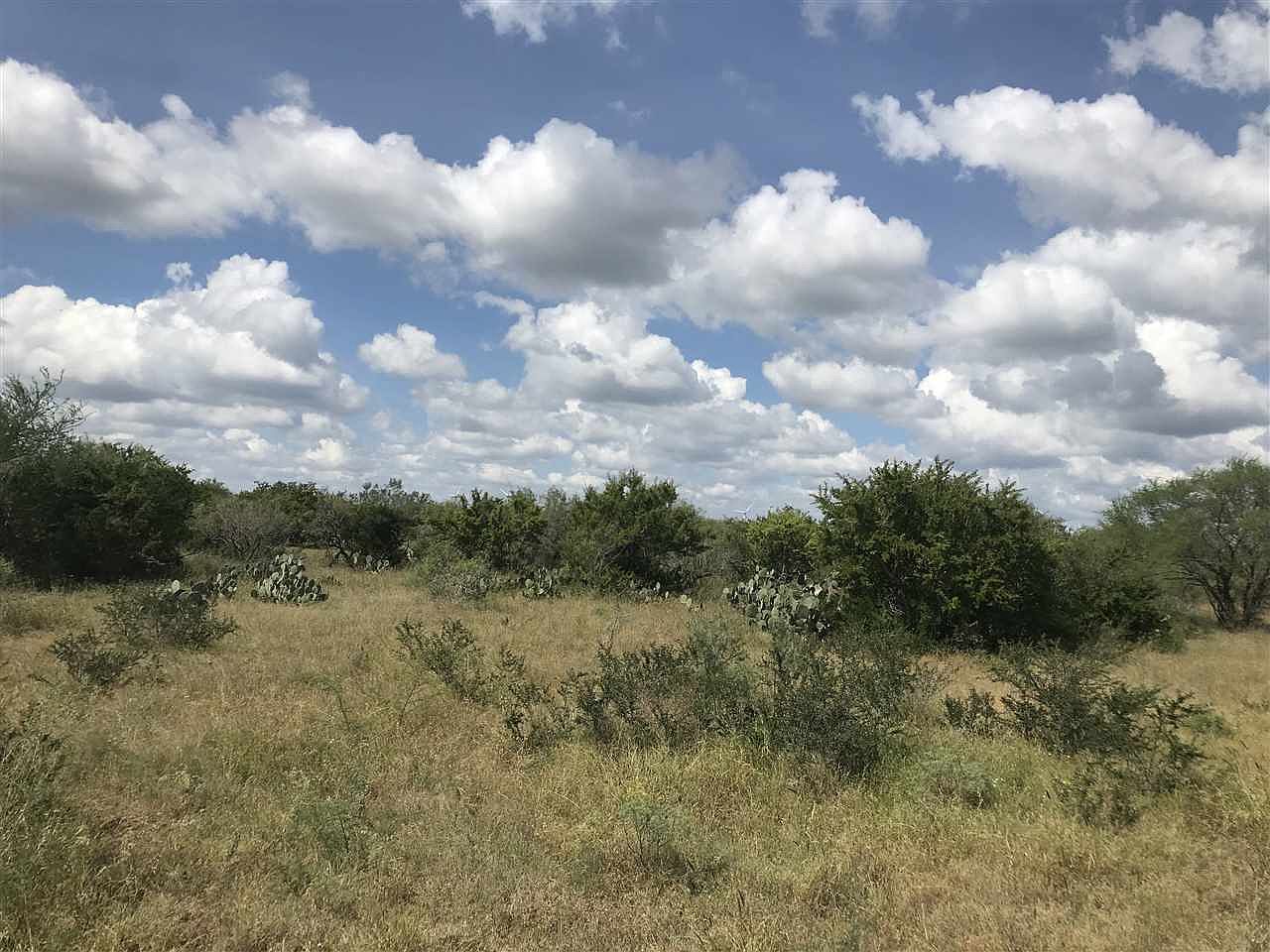 20842 Tx State Highway 359, Oilton, TX 78371 | MLS #20212586 | Zillow