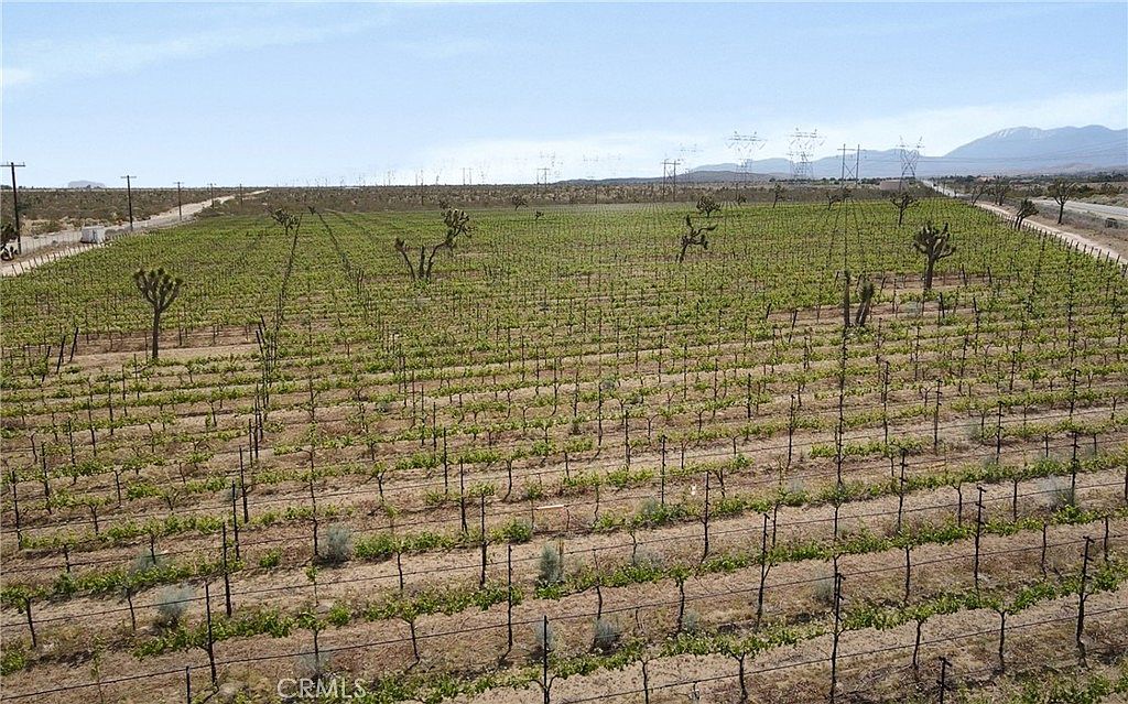 87 Fort Tejon Rd, Palmdale, CA 93552 | MLS #SR25106980 | Zillow