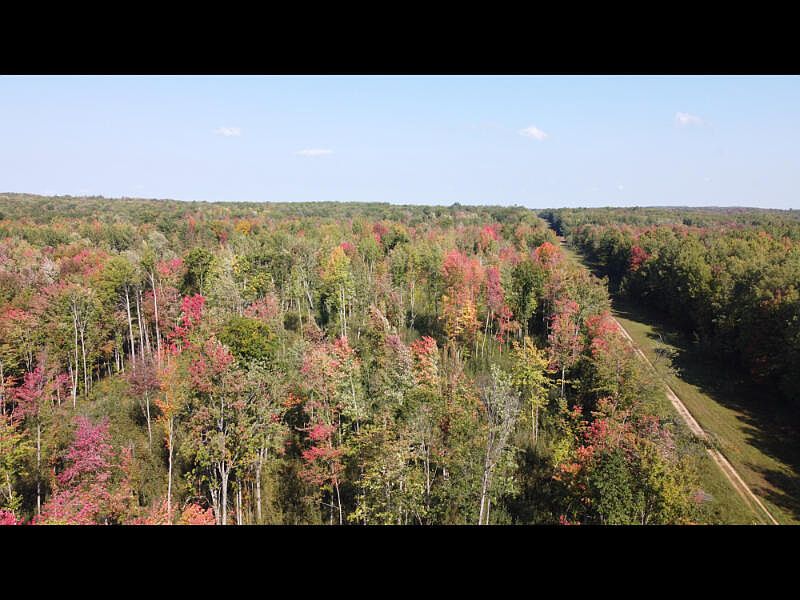 12 Hemlock St, Lake, MI 48632 | MLS #23135676 | Zillow