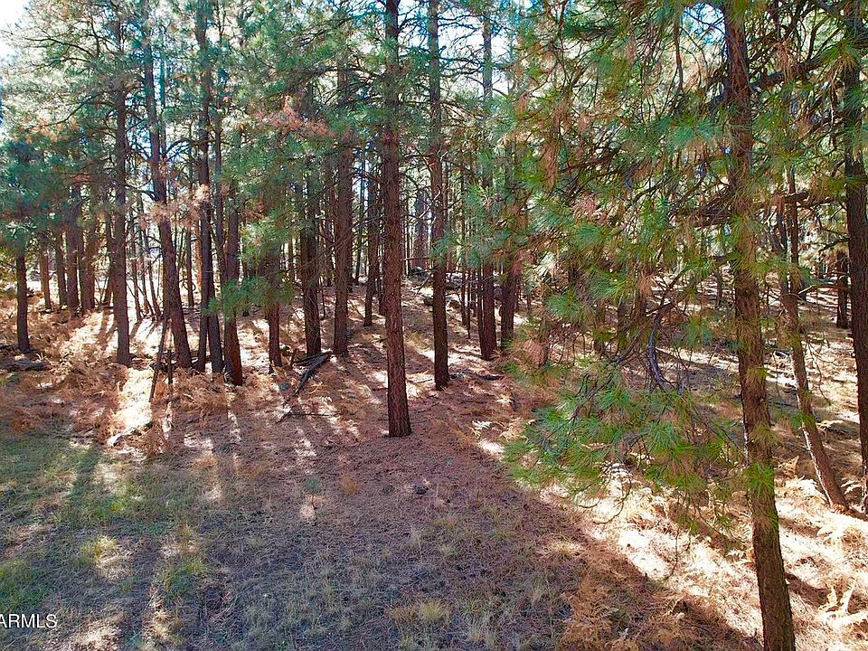 2761 Larson Loop #832, Forest Lakes, AZ 85931 | Zillow