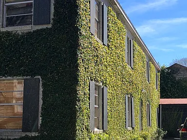 89 Spring St Charleston SC | Zillow