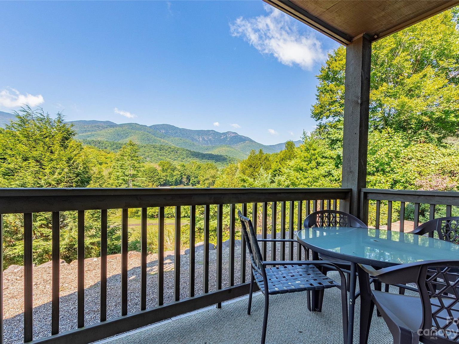 11012 State Highway 80 S APT 1B, Burnsville, NC 28714 | MLS #4073569 ...