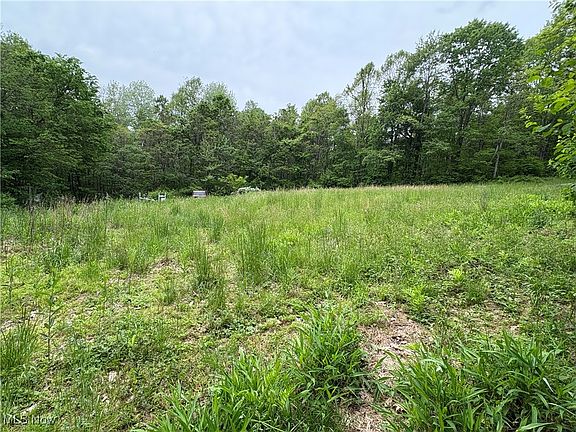 Granger Hill Rd, Zanesville, OH 43701 | MLS #5124252 | Zillow