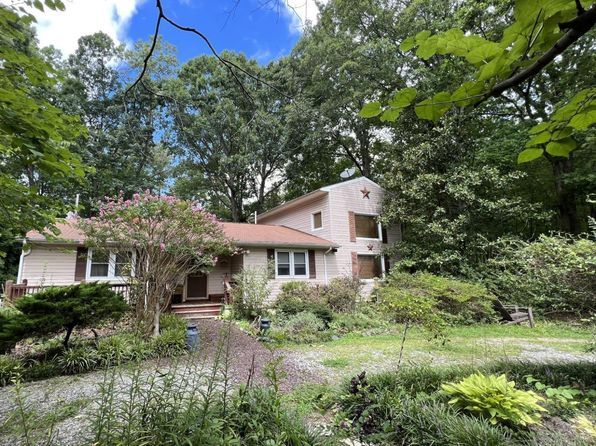 Saxe Real Estate - Saxe VA Homes For Sale | Zillow