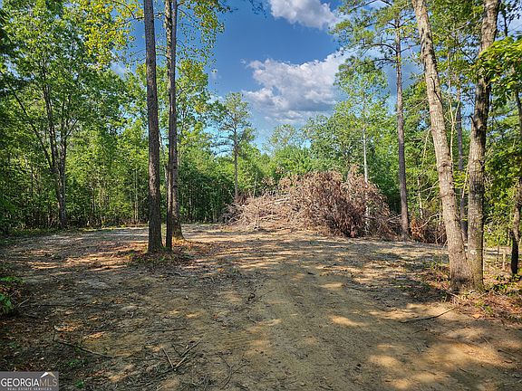 3 Gum Creek Airport Rd, Roopville, GA 30170 | MLS #10432802 | Zillow