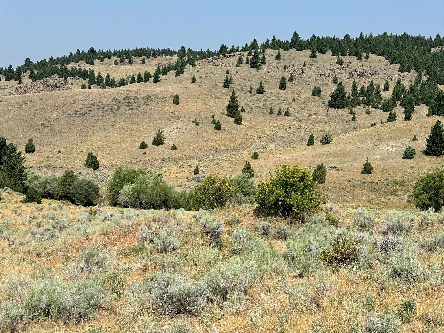 Street Paul Ave #4, Butte, MT 59701 | Zillow