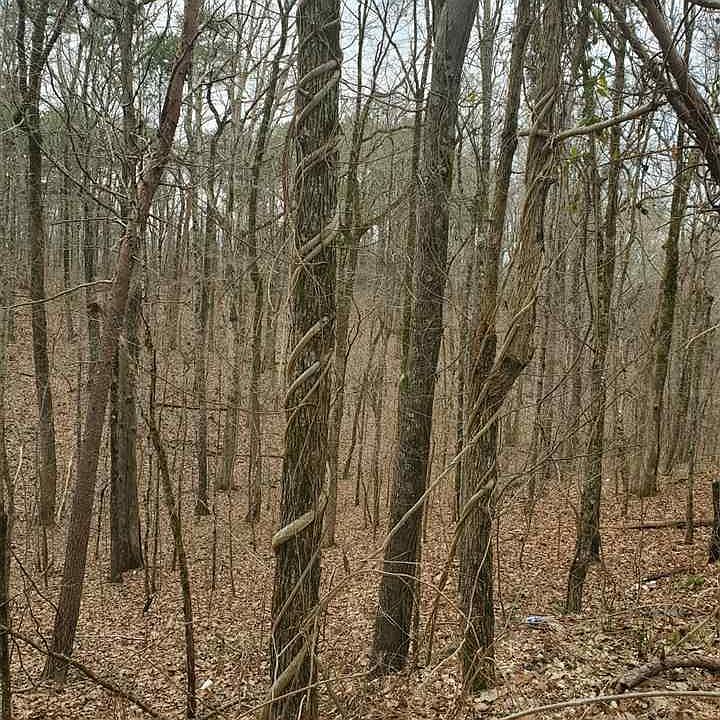 6090 Huckleberry Ln LOT 0, Morris, AL 35116 | Zillow