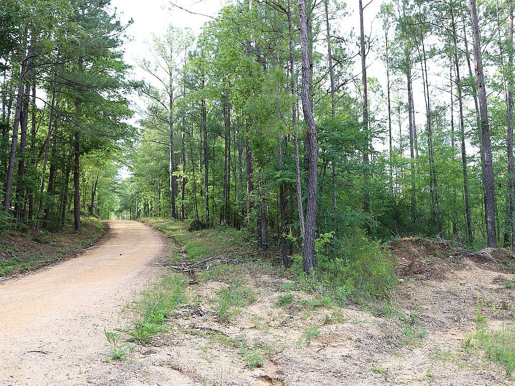 320 Fleming Rd, Vincent, AL 35178 | Zillow