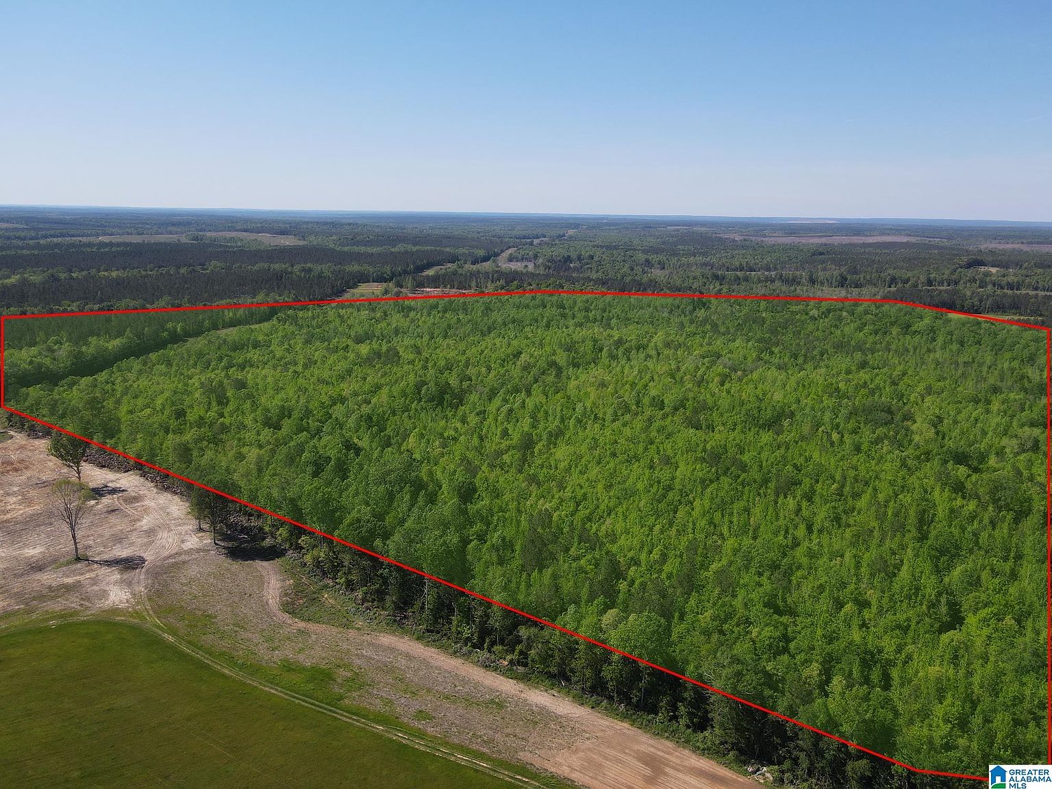 County Road 73 #2000-3000, Randolph, AL 36792 | MLS #21396996 | Zillow