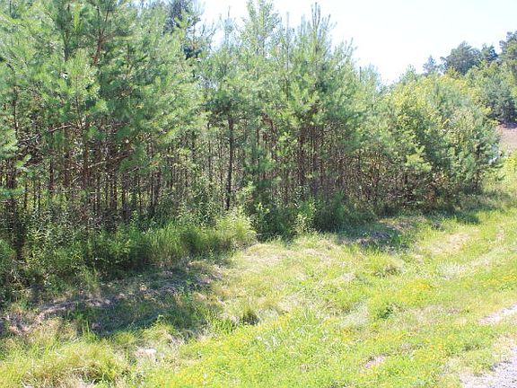 17 Pinewood Dr, Peru, NY 12972 | Zillow