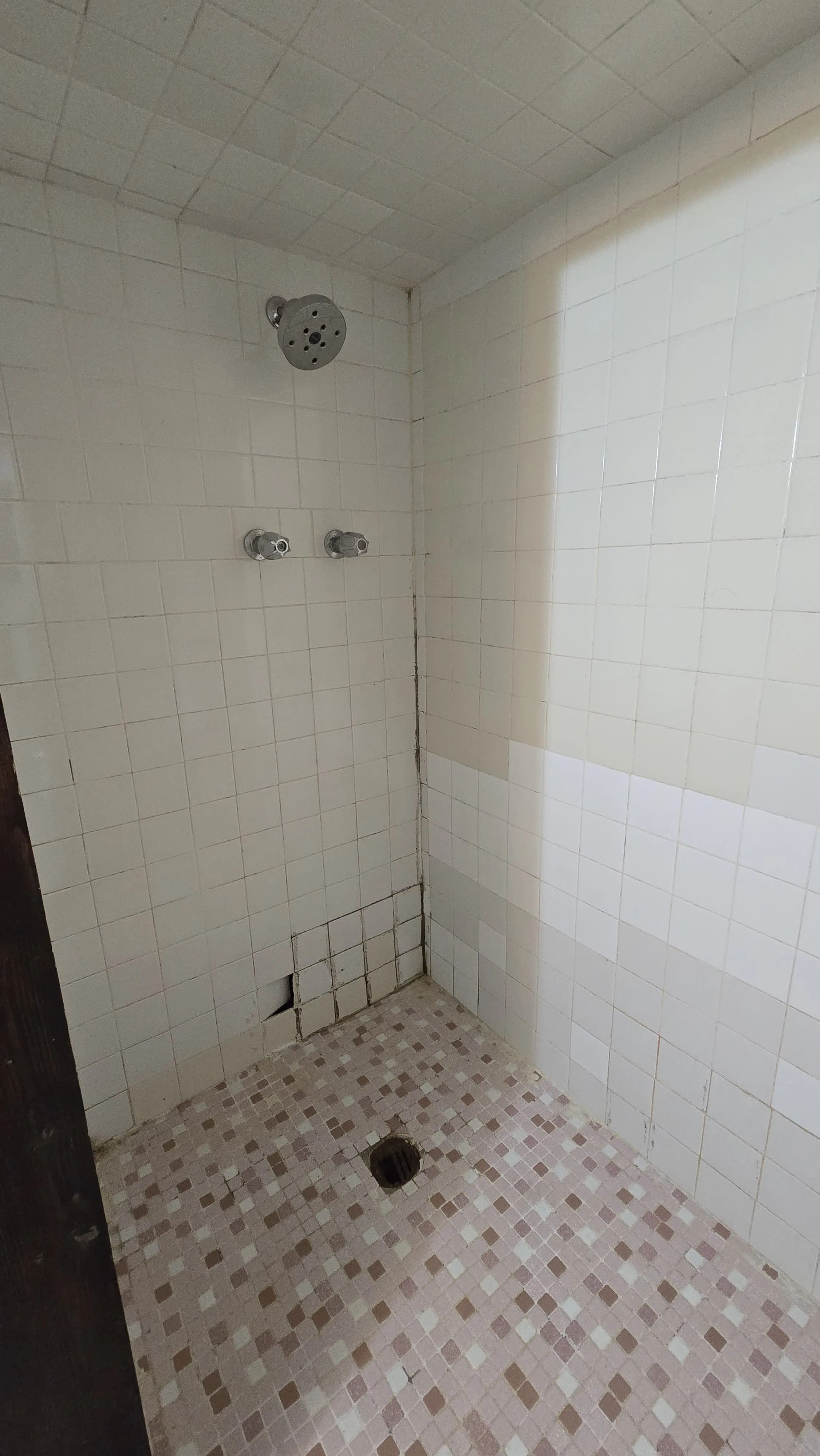 342 Marion Street #BB in Ocean Hill, Brooklyn | StreetEasy