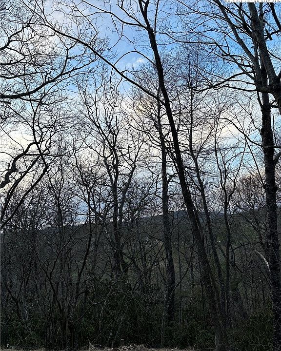 lot 14 Green Hill Woods, Blowing Rock, NC 28605 | Zillow