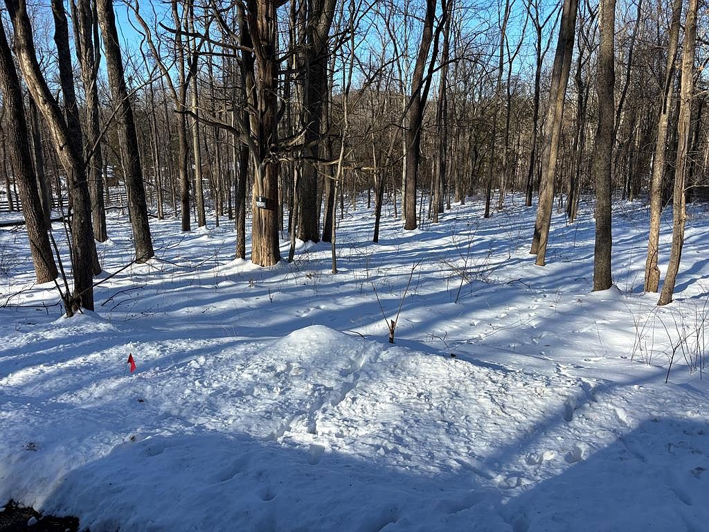 Nace Corner Rd, Latham, OH 45646 | MLS #197296 | Zillow