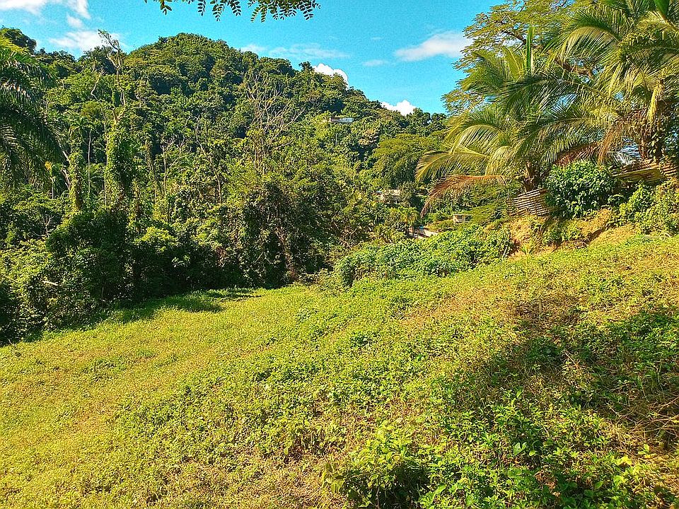 Barrio Mamey #1, Guaynabo, PR 00971 | Zillow