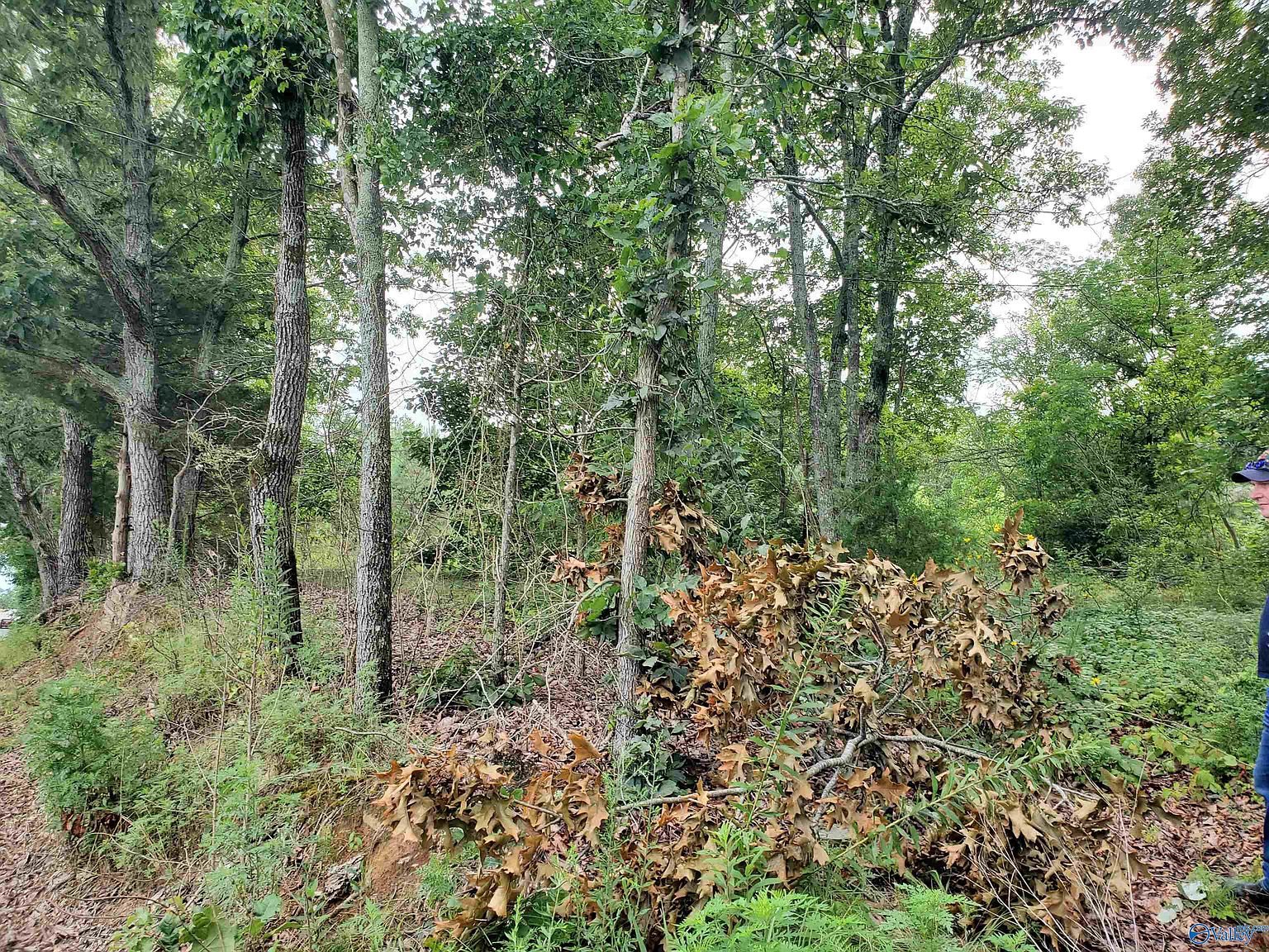 297 Aday Rd Eva AL 35621 MLS 1840352 Zillow 297-aday-rd-eva-al-35621-mls-1840352-zillow