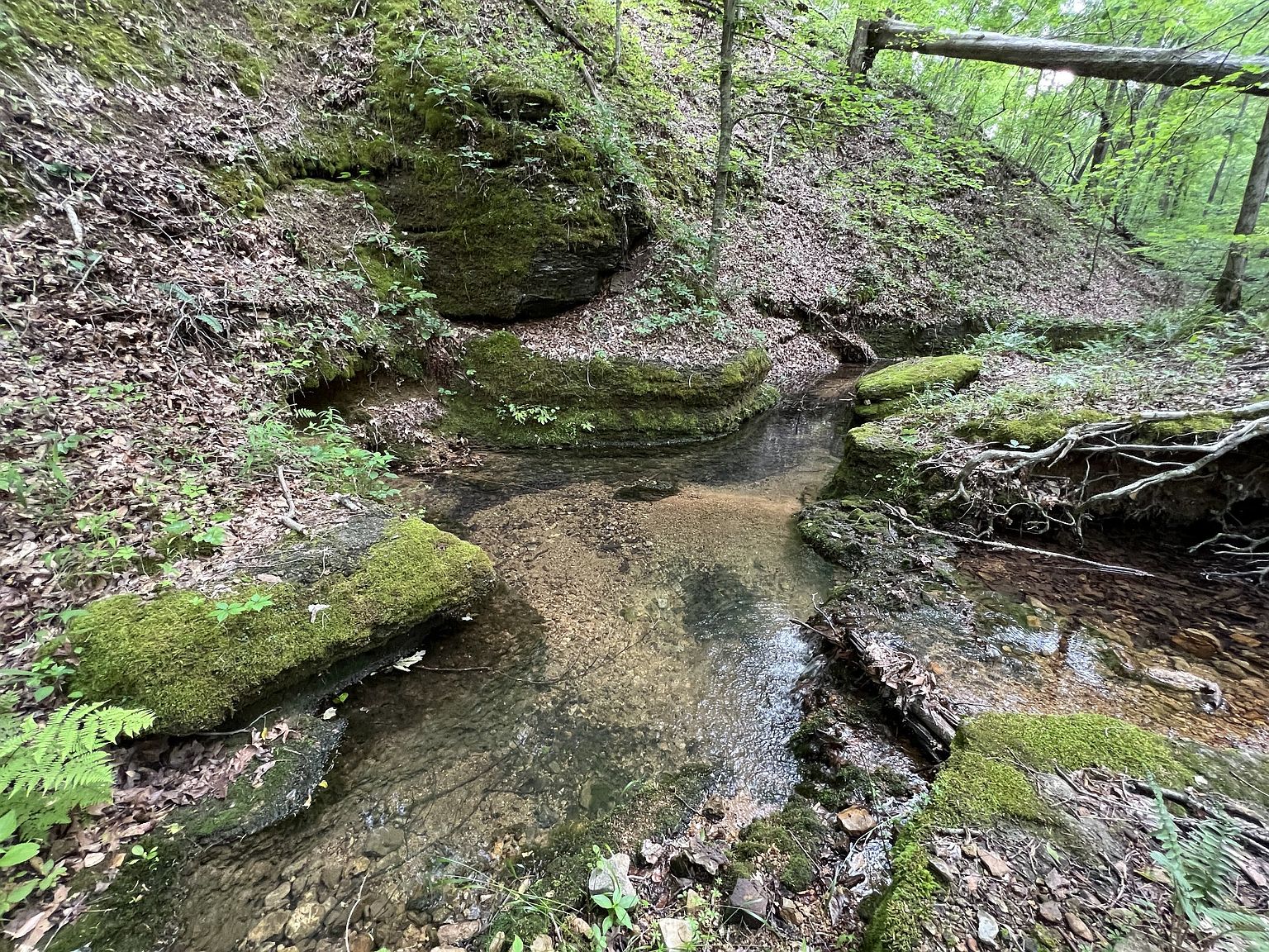 0 Morgan Branch Rd LOT 3, Centerville, TN 37033 | Zillow