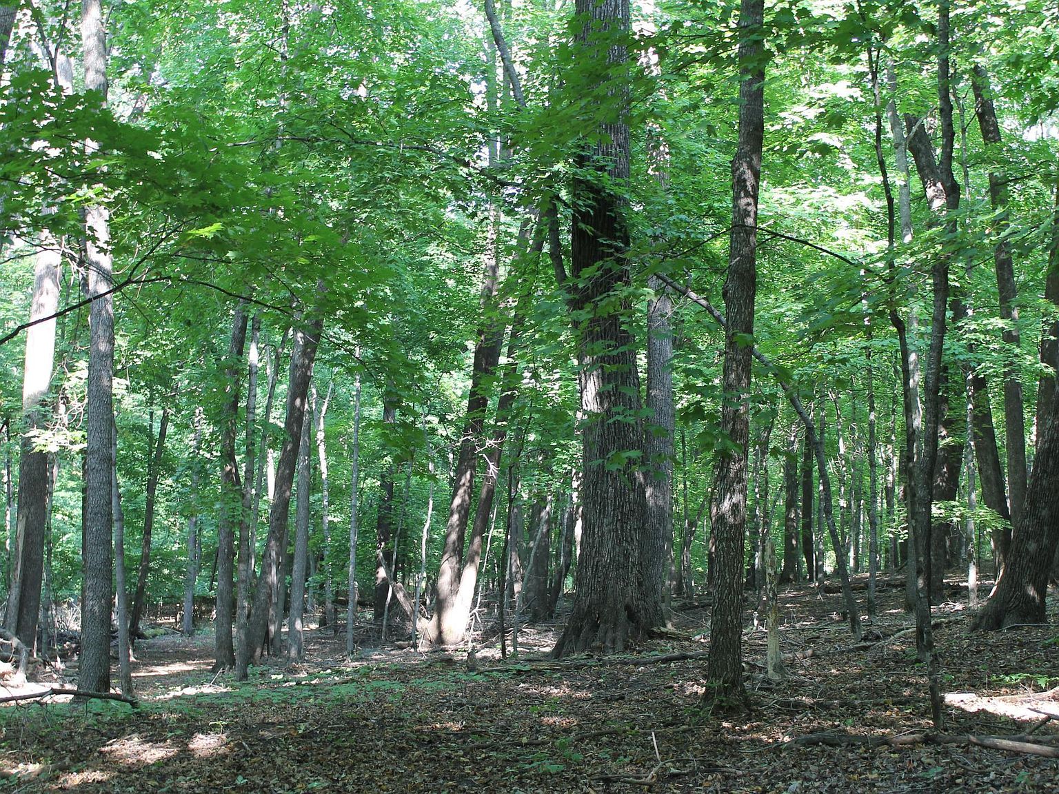 Xxx Moe Hall Rd NW, Garfield, MN 56332 | MLS #6572921 | Zillow