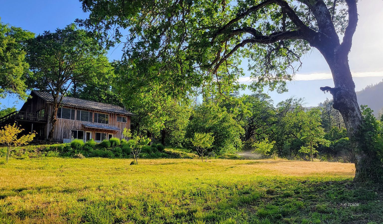 8480 Saint John Rd, Hyampom, CA 96046 | MLS #2112765 | Zillow