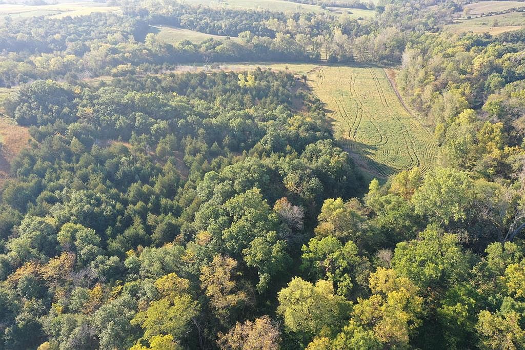 56866 Highway M, Pollock, MO 63560 | Zillow