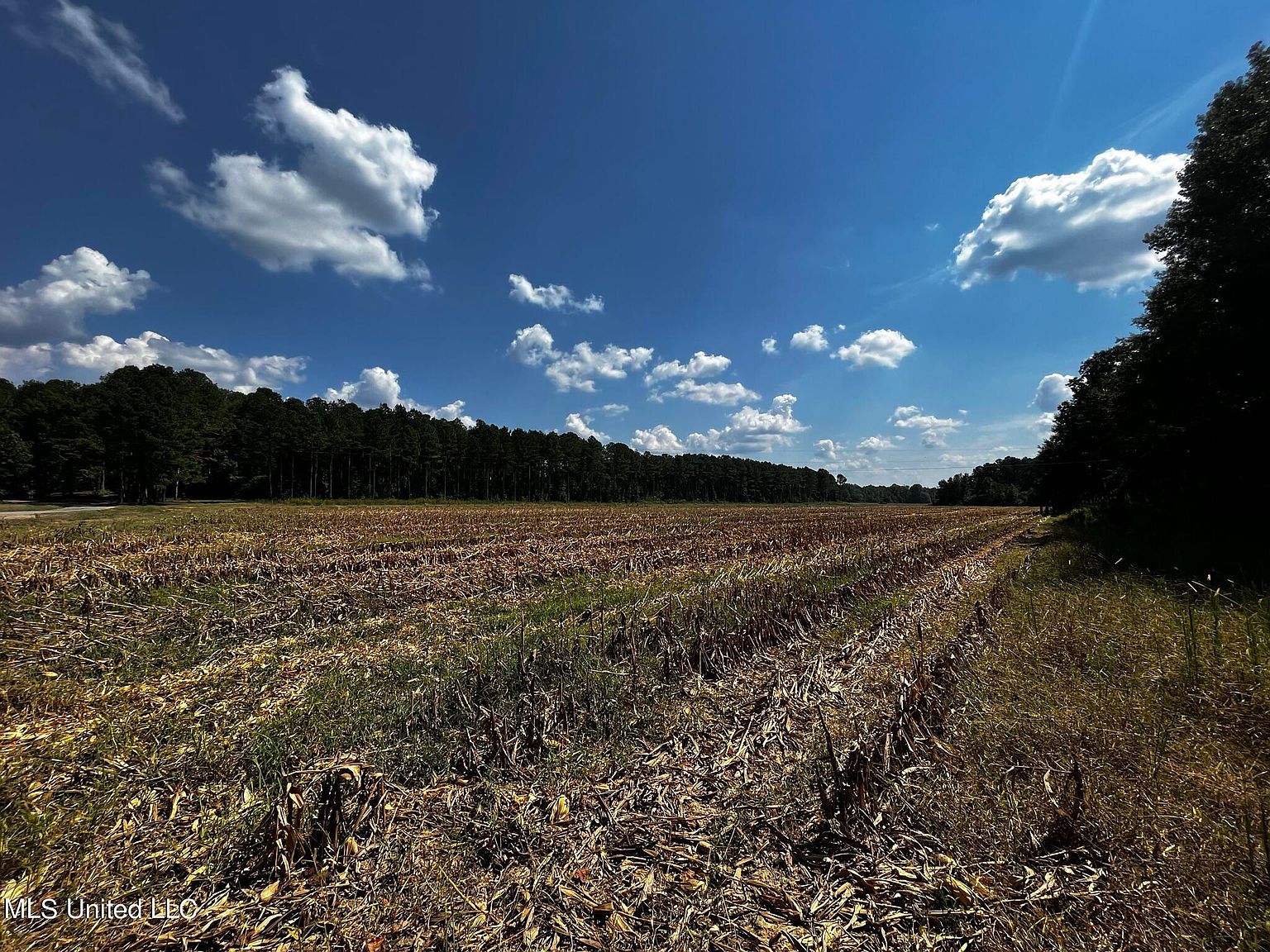 County Road 43, Eupora, MS 39744 | MLS #4059675 | Zillow