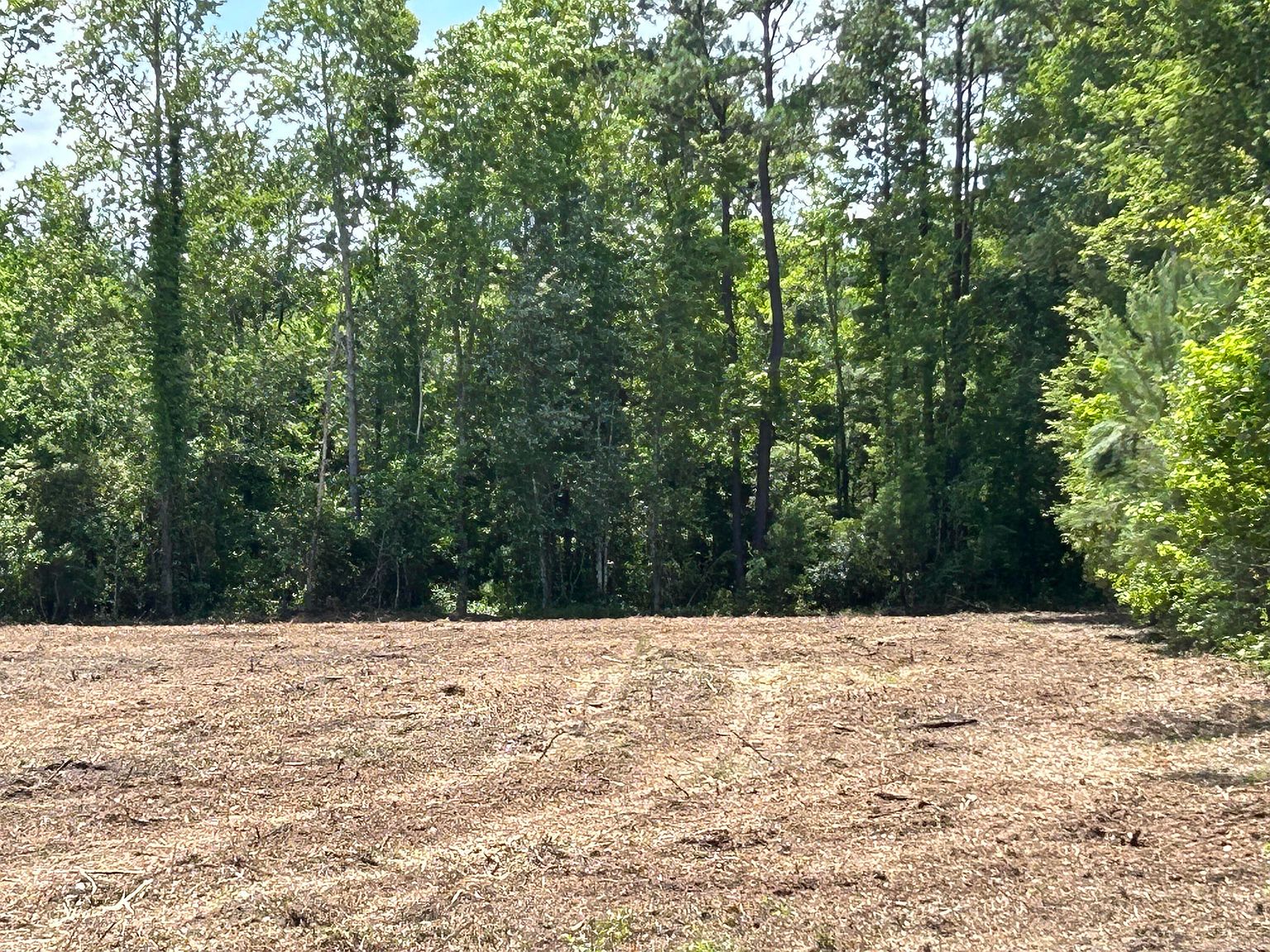 1 Ace Basin Hwy, Jacksonboro, SC 29452 | MLS #23008422 | Zillow