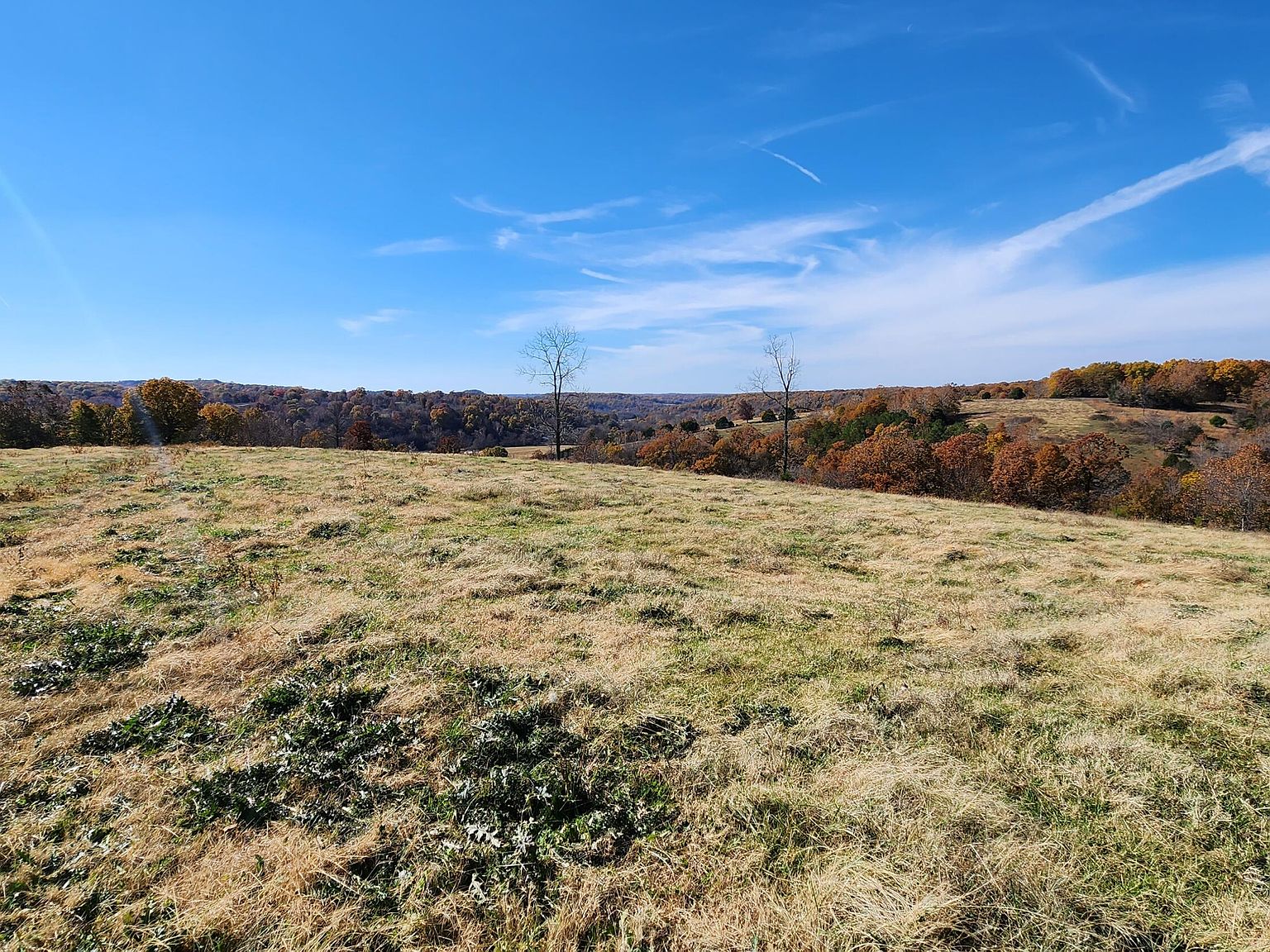 000 Upper Mill Creek Rd, Noel, MO 64854 | MLS #60257376 | Zillow