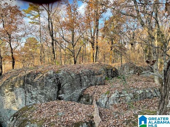 Steele AL Real Estate - Steele AL Homes For Sale | Zillow